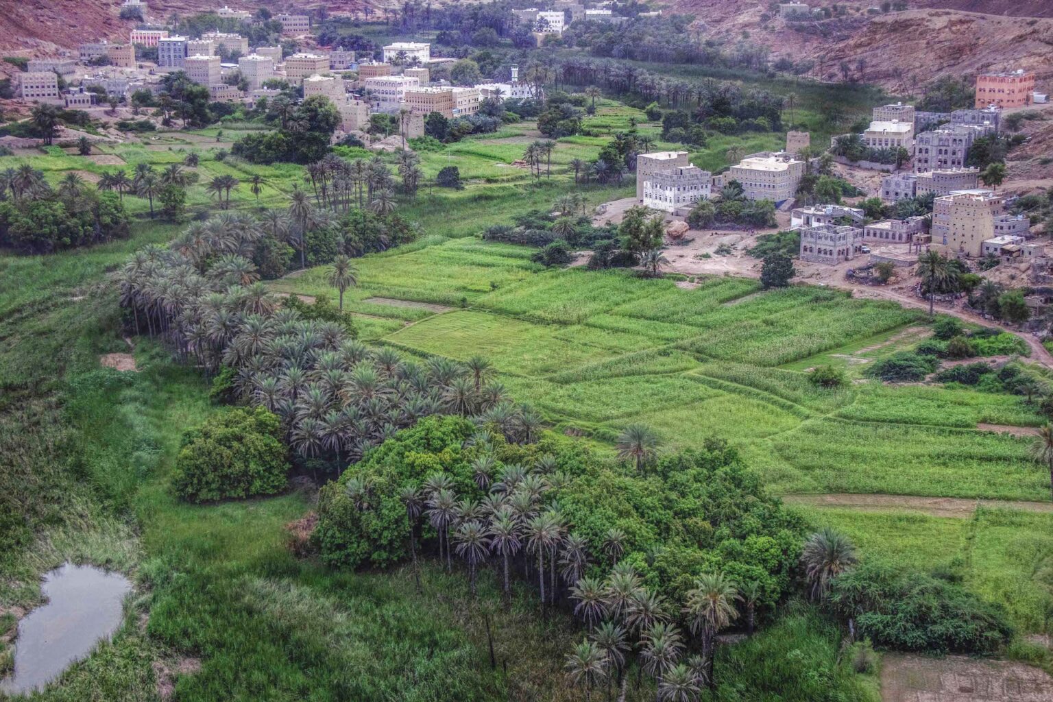 Recovering Lost Ground in Shabwa’s Oil Sector - Sana'a Center For ...